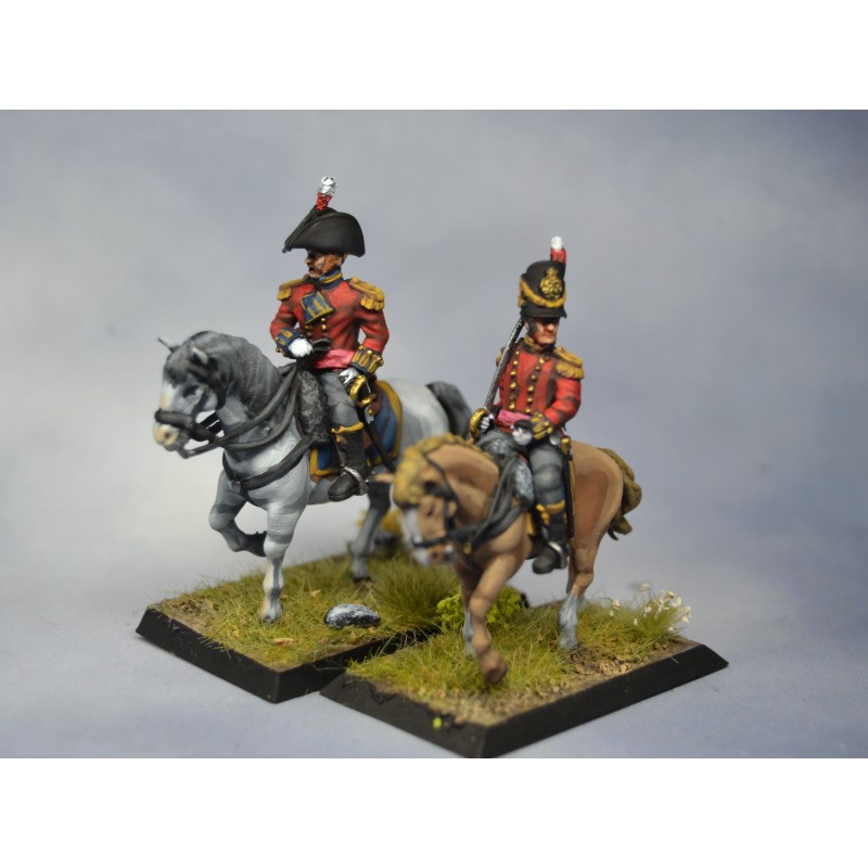 British Officers On Horses